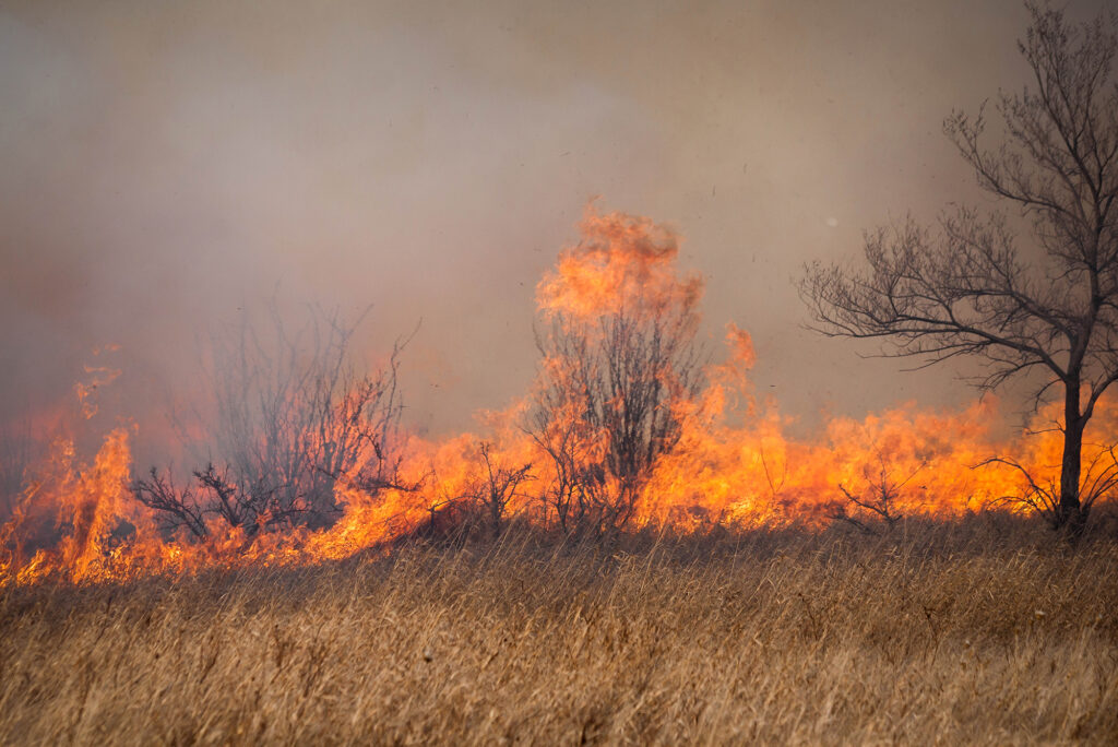 Understanding Fire Weather and Climate Change Basics — ClimateData.ca Understanding Fire Weather and Climate Change Basics — ClimateData.ca